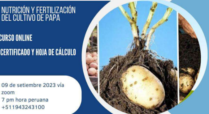 NutriciÓn Y FertilizaciÓn En El Cultivo De Papa Agrícola Valle Esperanza