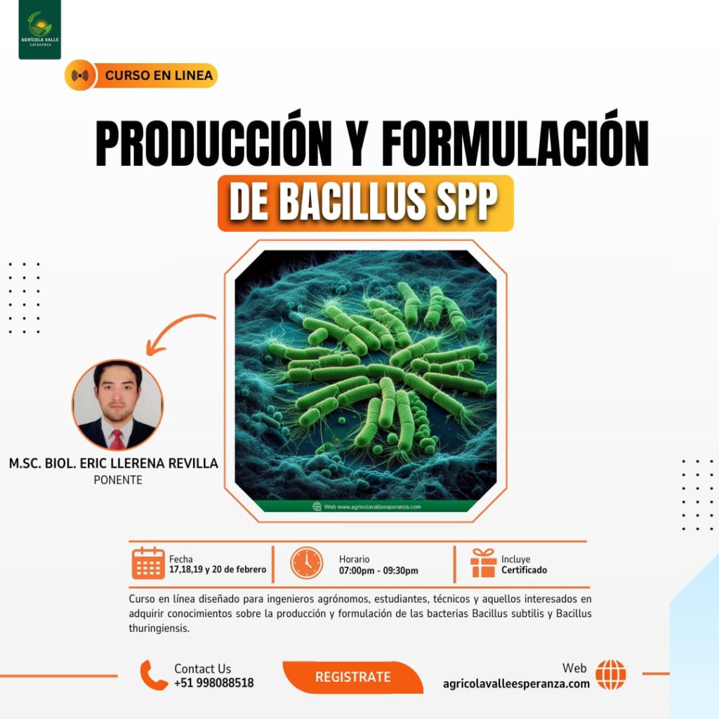 PRODUCCIÓN Y FORMULACIÓN DE BACILLUS SPP (subtilis y thuringiensis ...